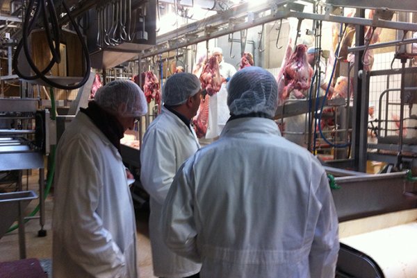 Ouverture de l’abattoir de Rabat durant l’Aid